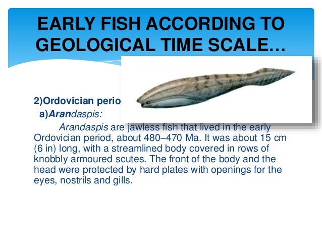 Evolution of fish (Early fish)