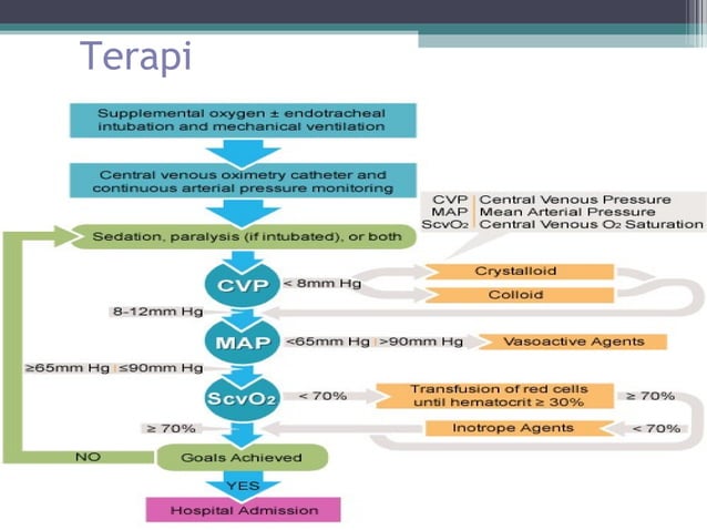 Early goal directed therapy in the treatment of severe ppt | PPT