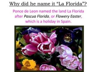 Early history of_ florida | PPTX