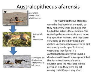 Early human food and clothing | PPT