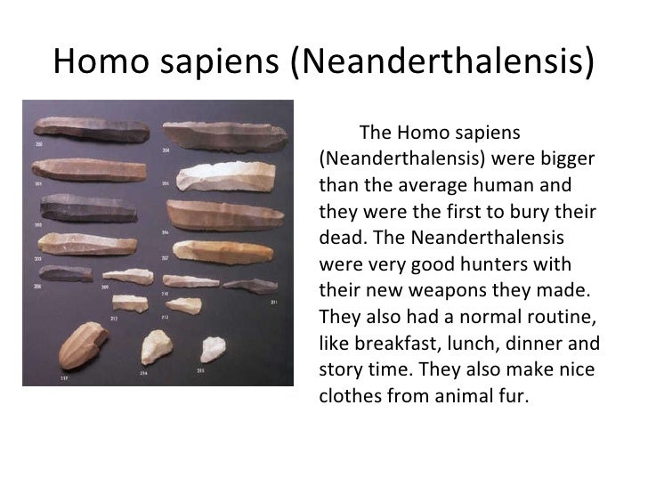 Early human food and clothing