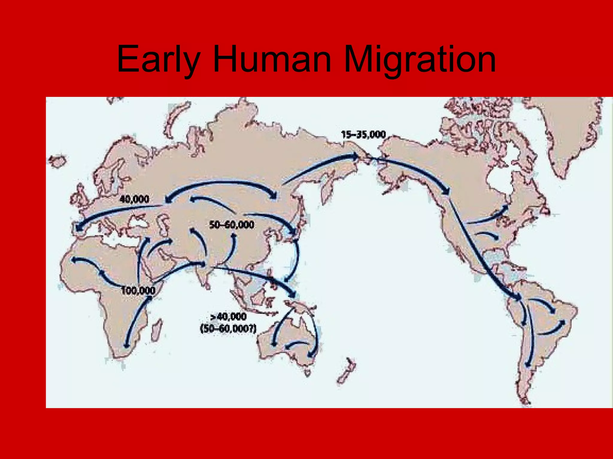 Early humans | PPT