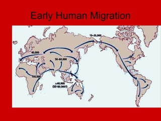Early humans | PPT