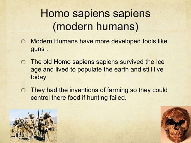 Early humans | PPT