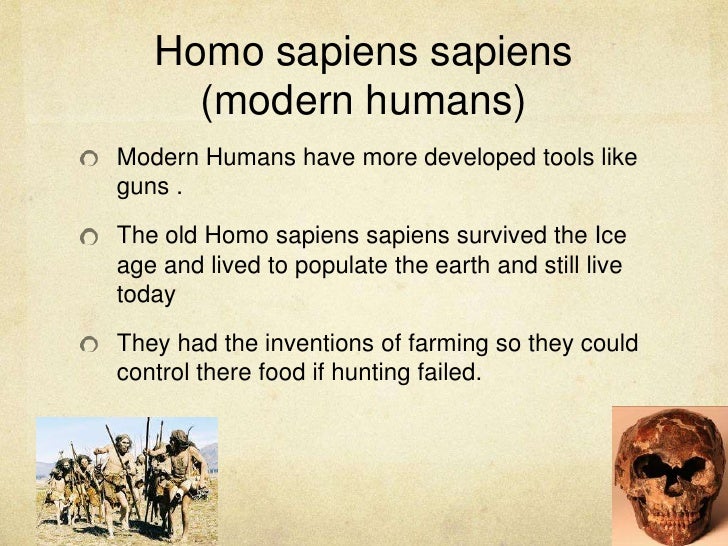 Early humans