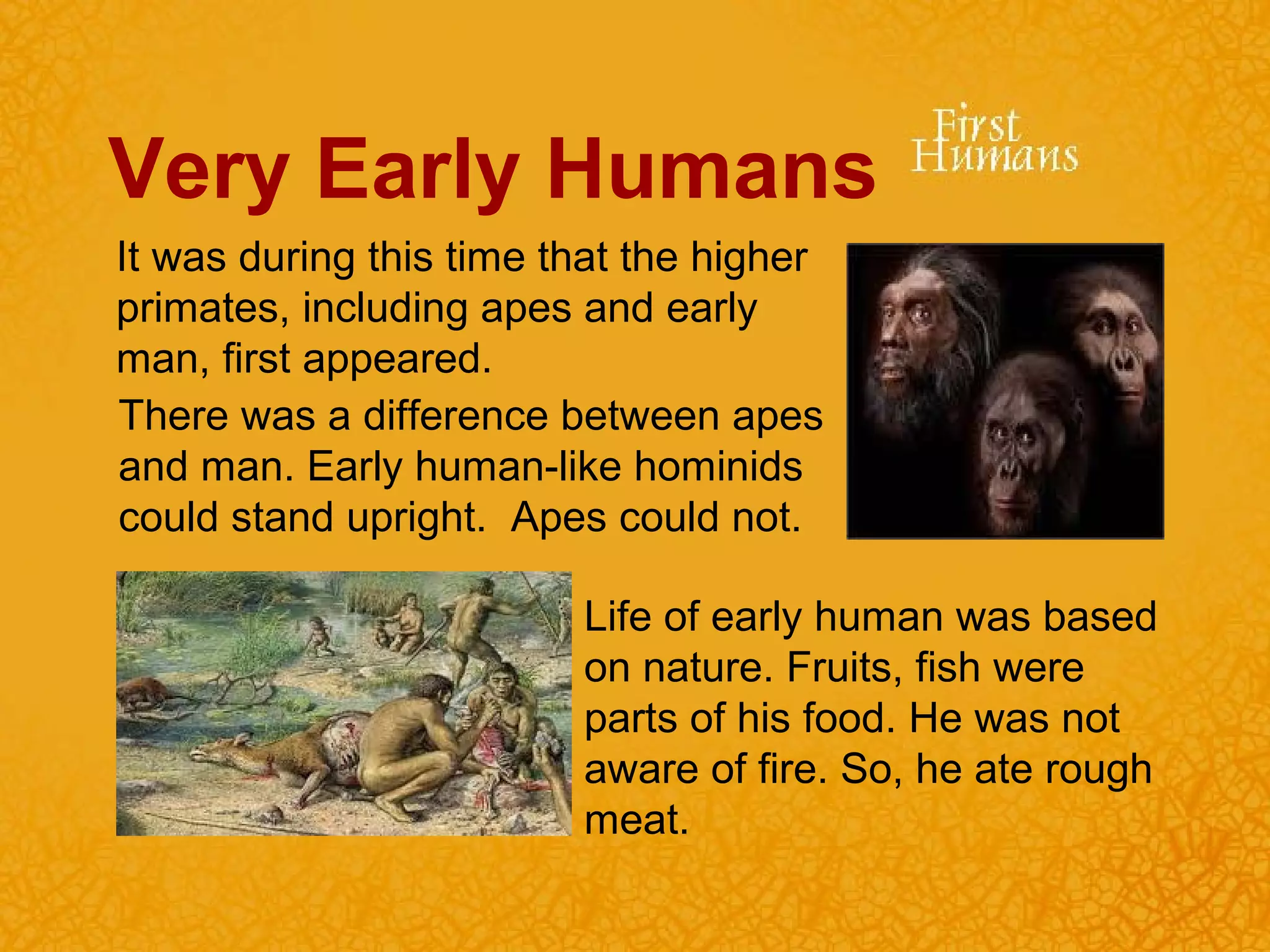 Early humans | PPT