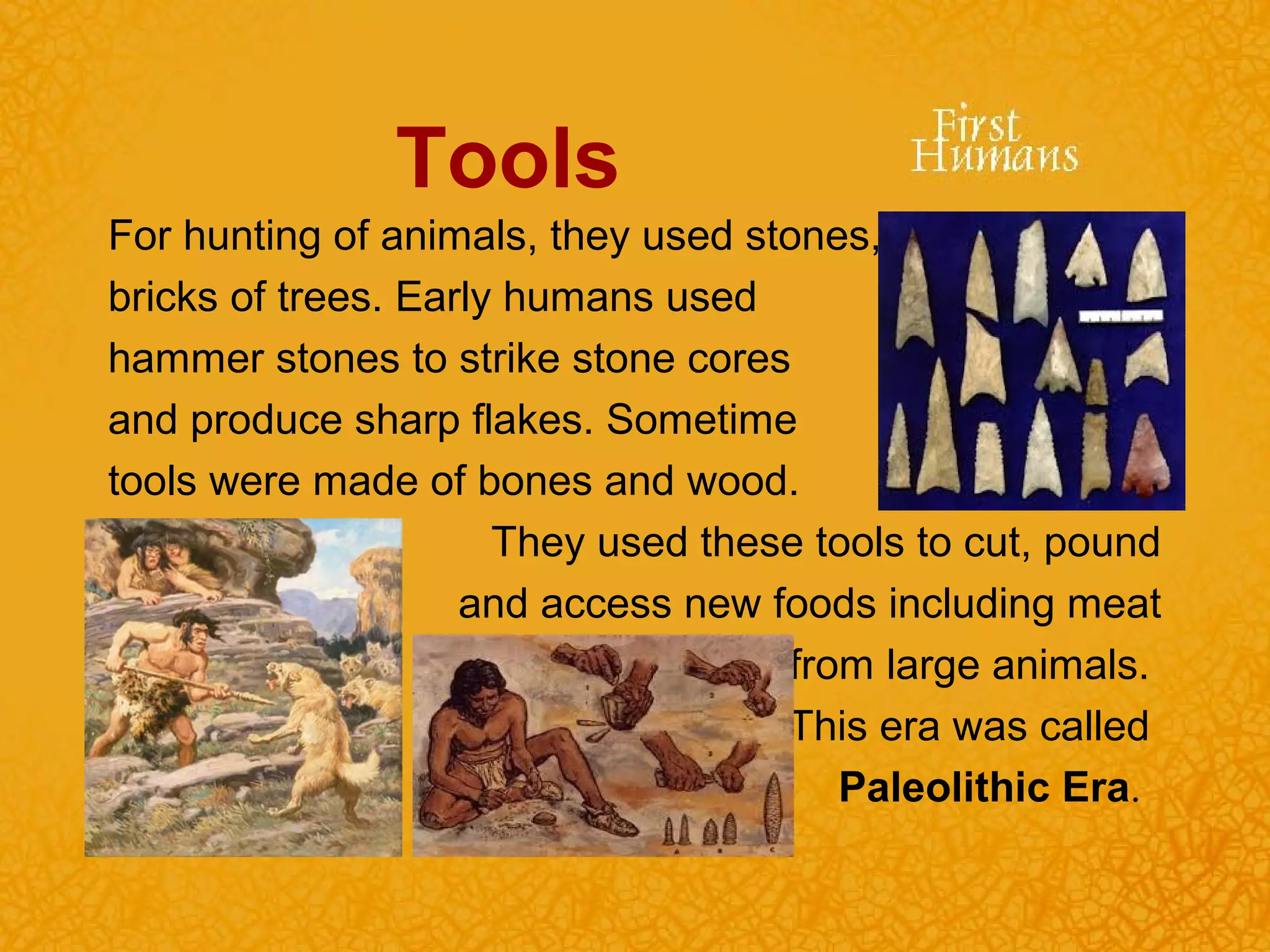 Early humans | PPT