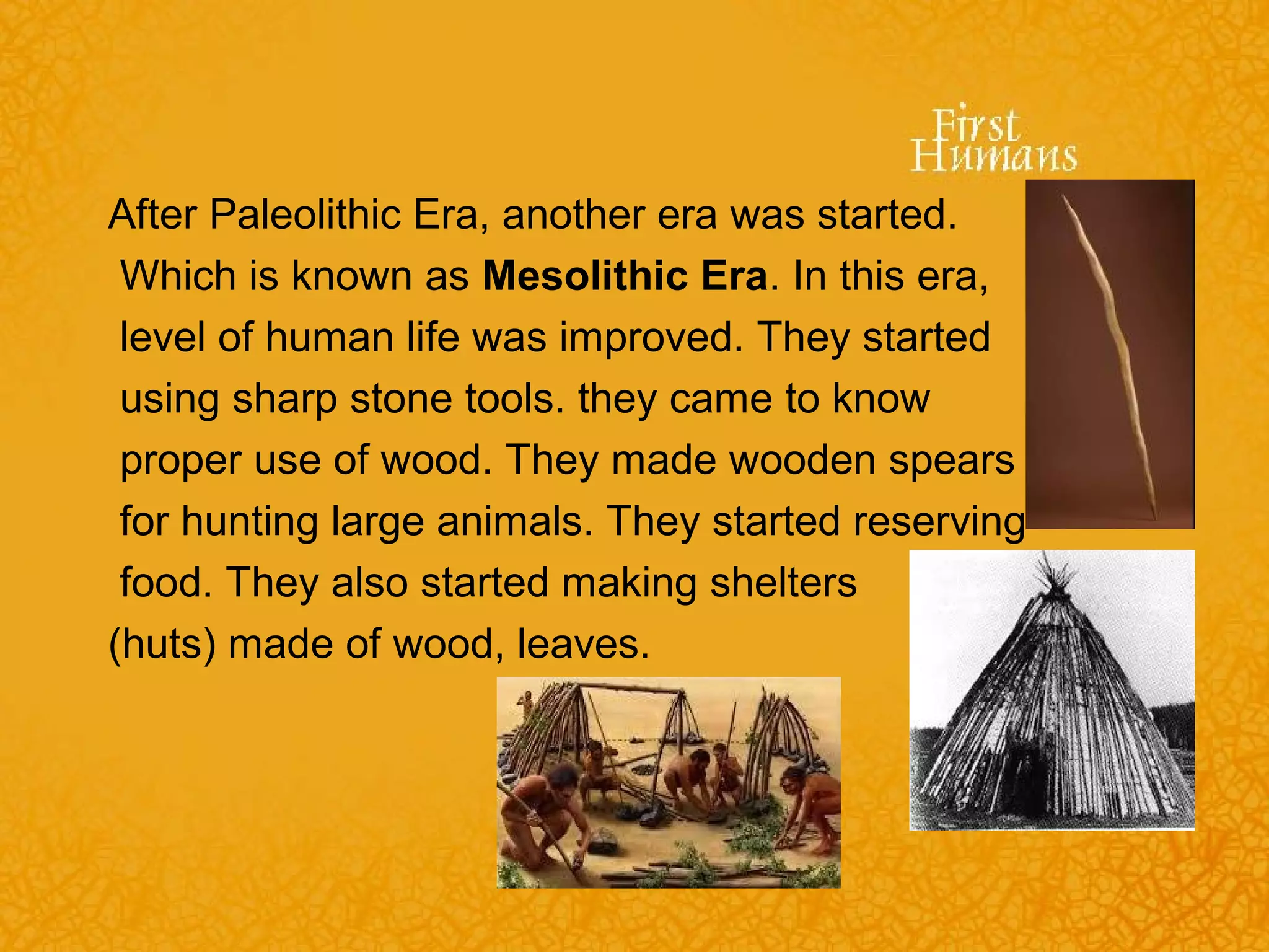 Early humans | PPT