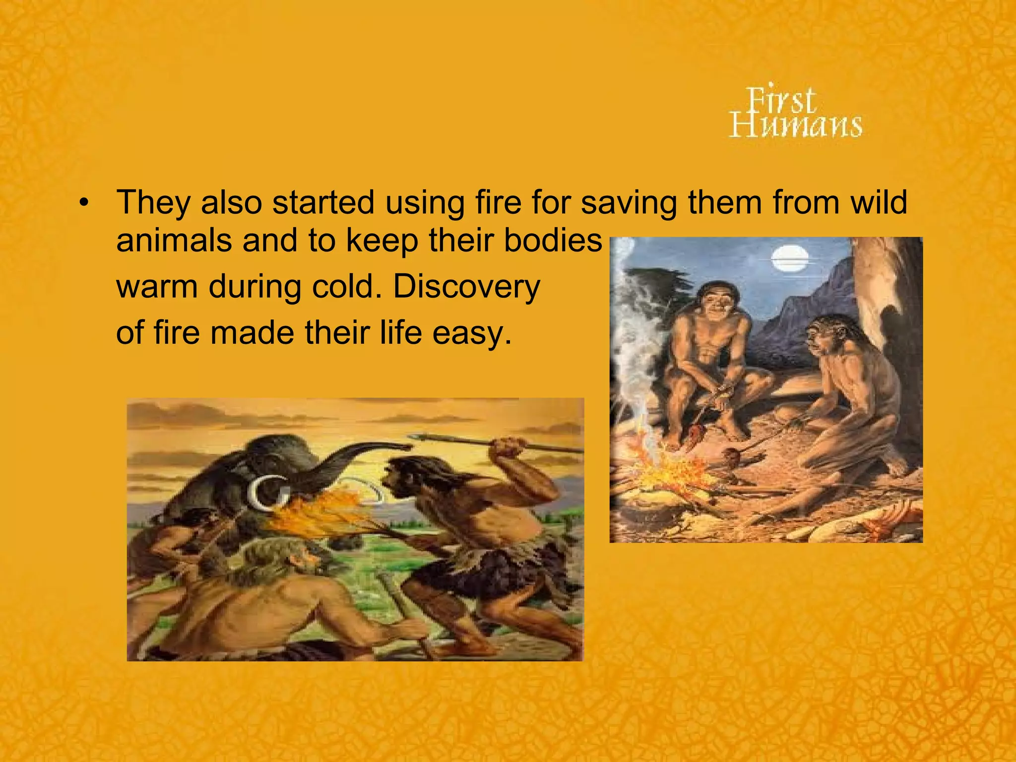 Early humans | PPT