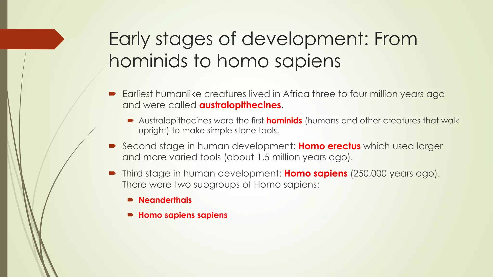 Early humans | PPTX