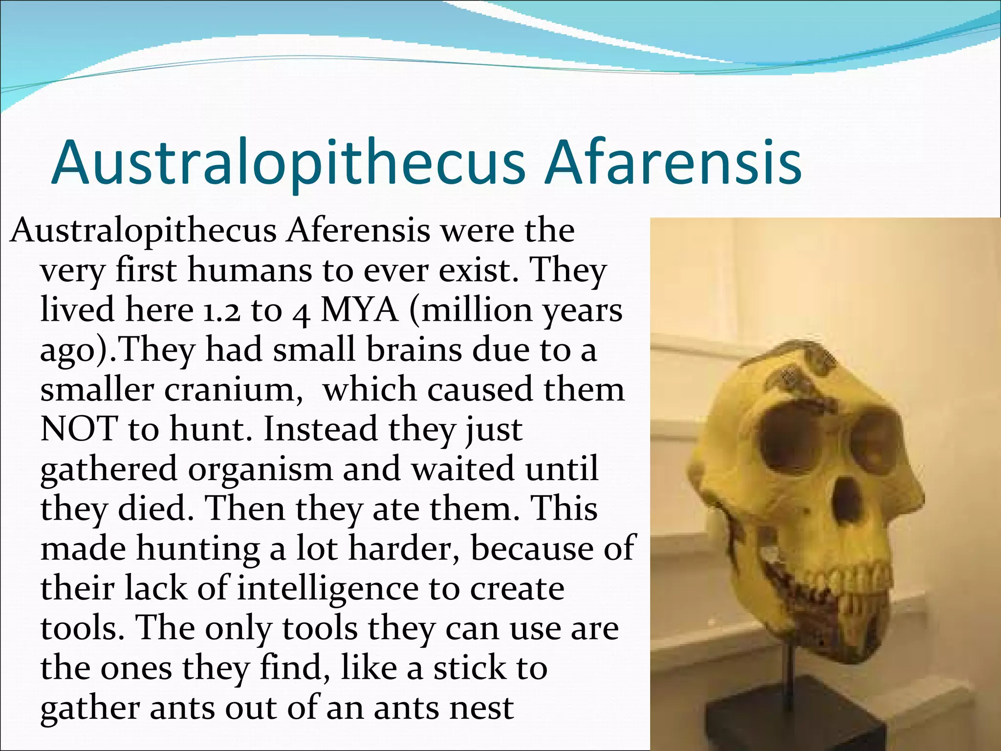 Early humans and tools | PPT