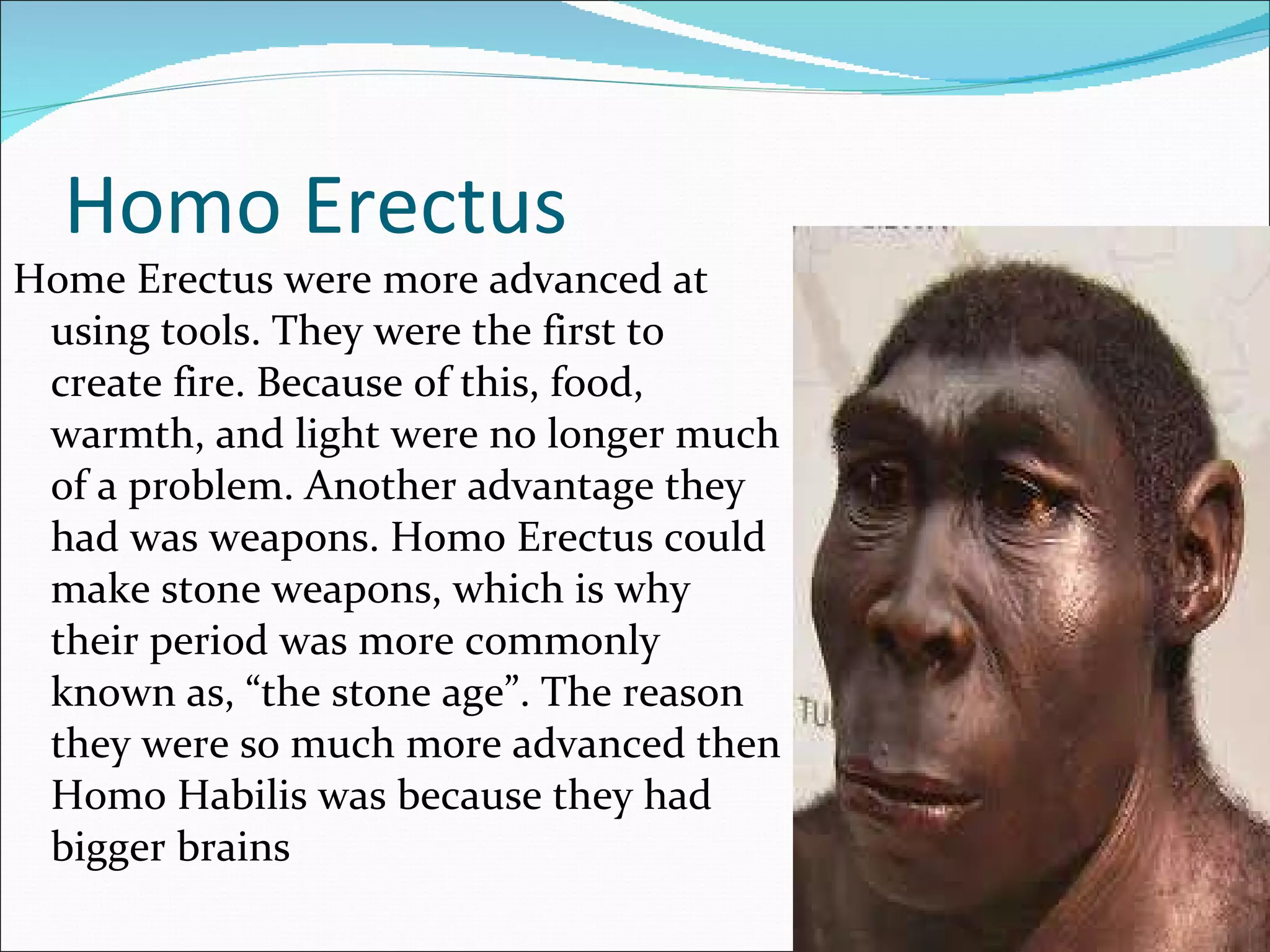 Early humans and tools | PPT