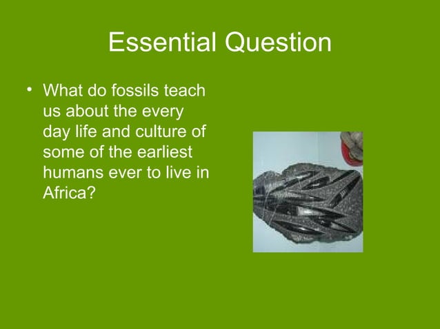 Early Humans In Africa | PPT | Science