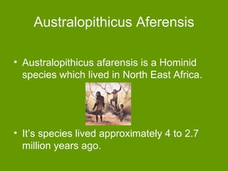 Early Humans In Africa | PPT