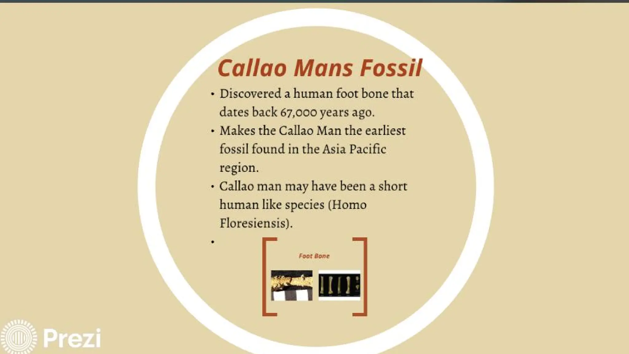 Early Humans in the Philippines.pdf | Geology | Science