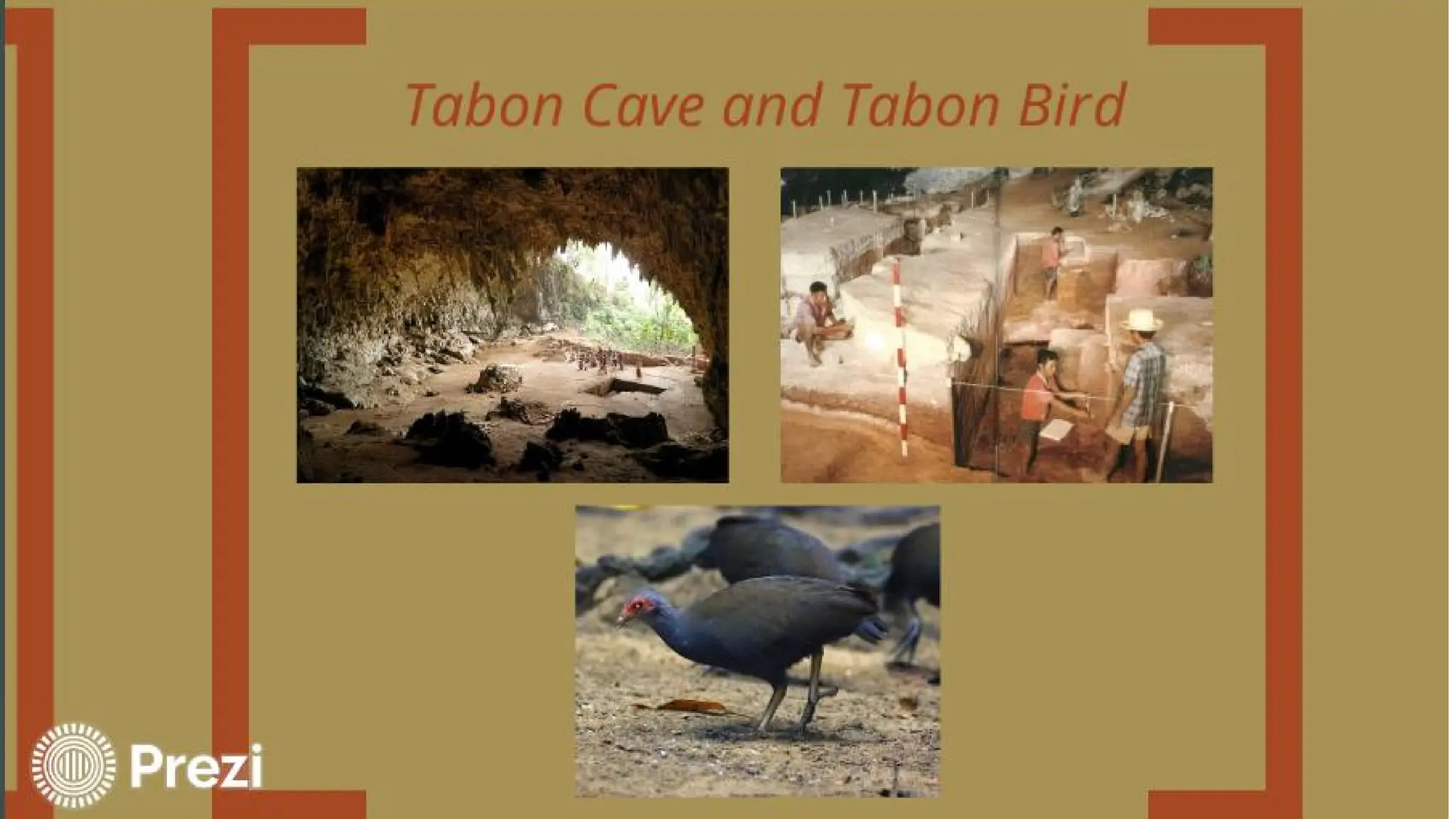 Early Humans in the Philippines.pdf | Geology | Science