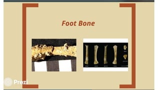 Early Humans in the Philippines.pdf