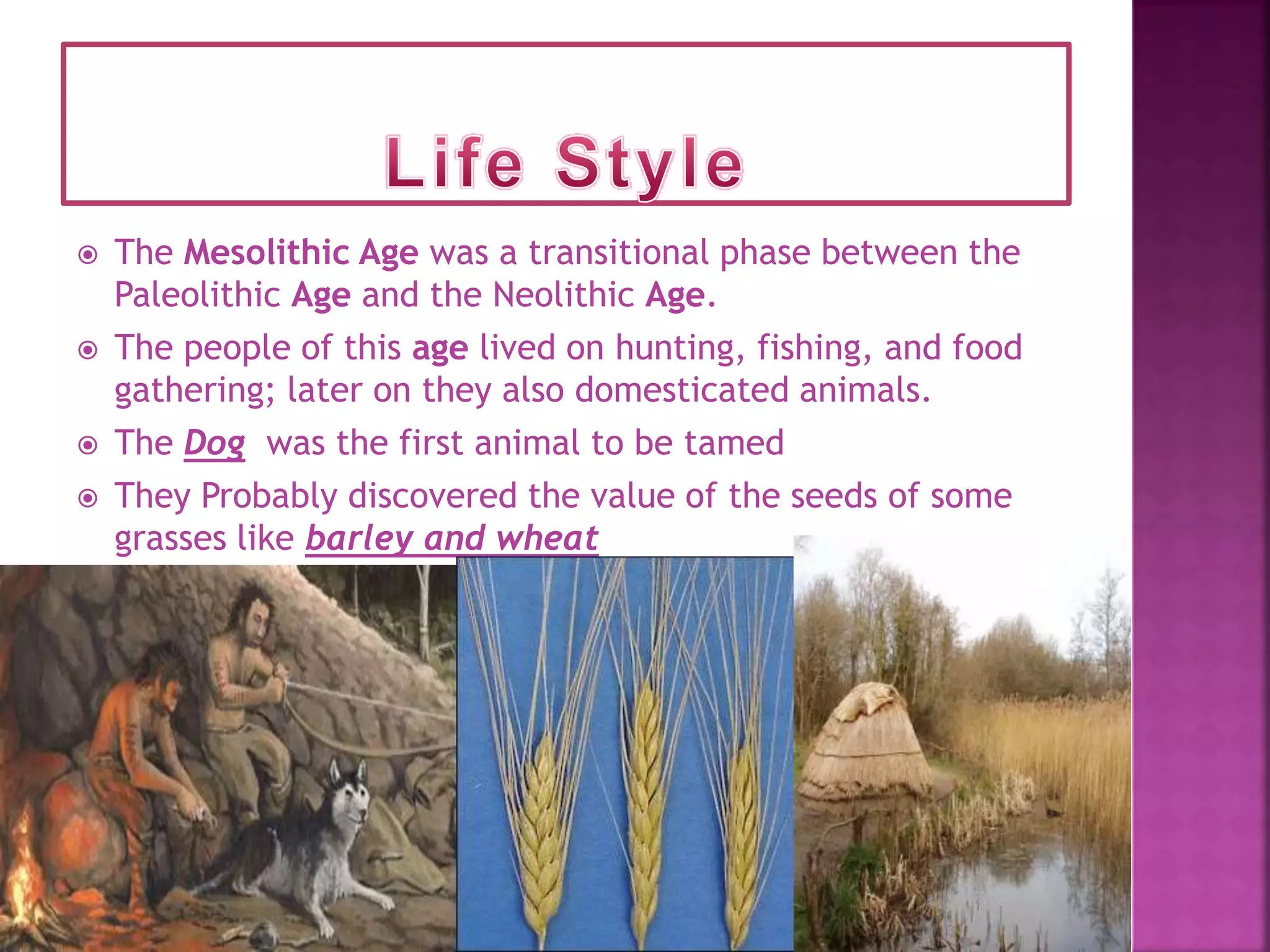 Early humans mesolithic age | PPT