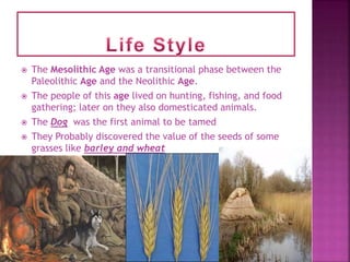 Early humans mesolithic age | PPT