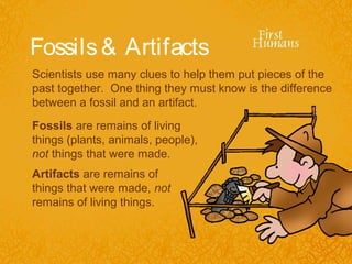 Early humans ppt | PPT | Geology | Science