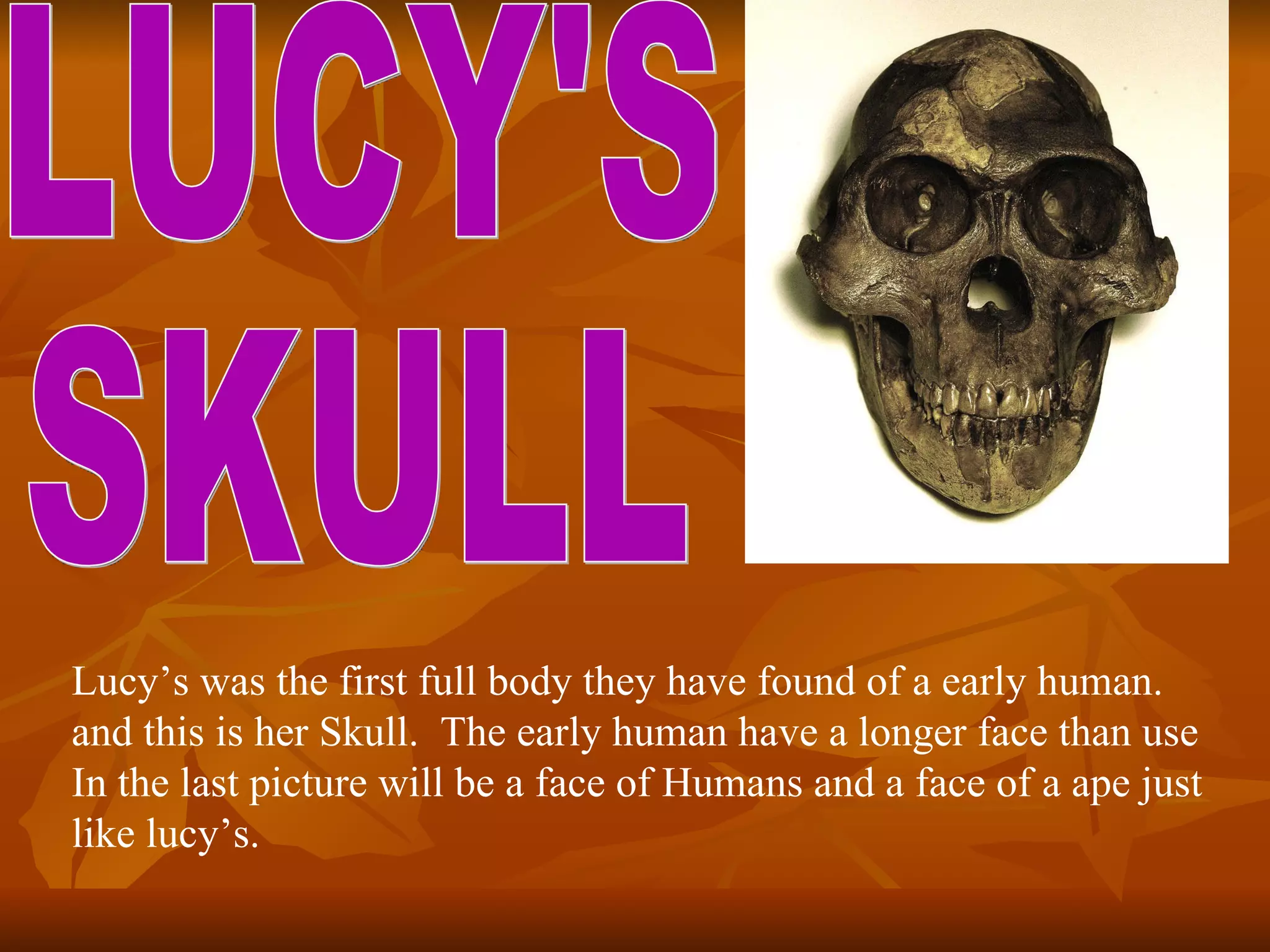 Early Humans Projects | PPT