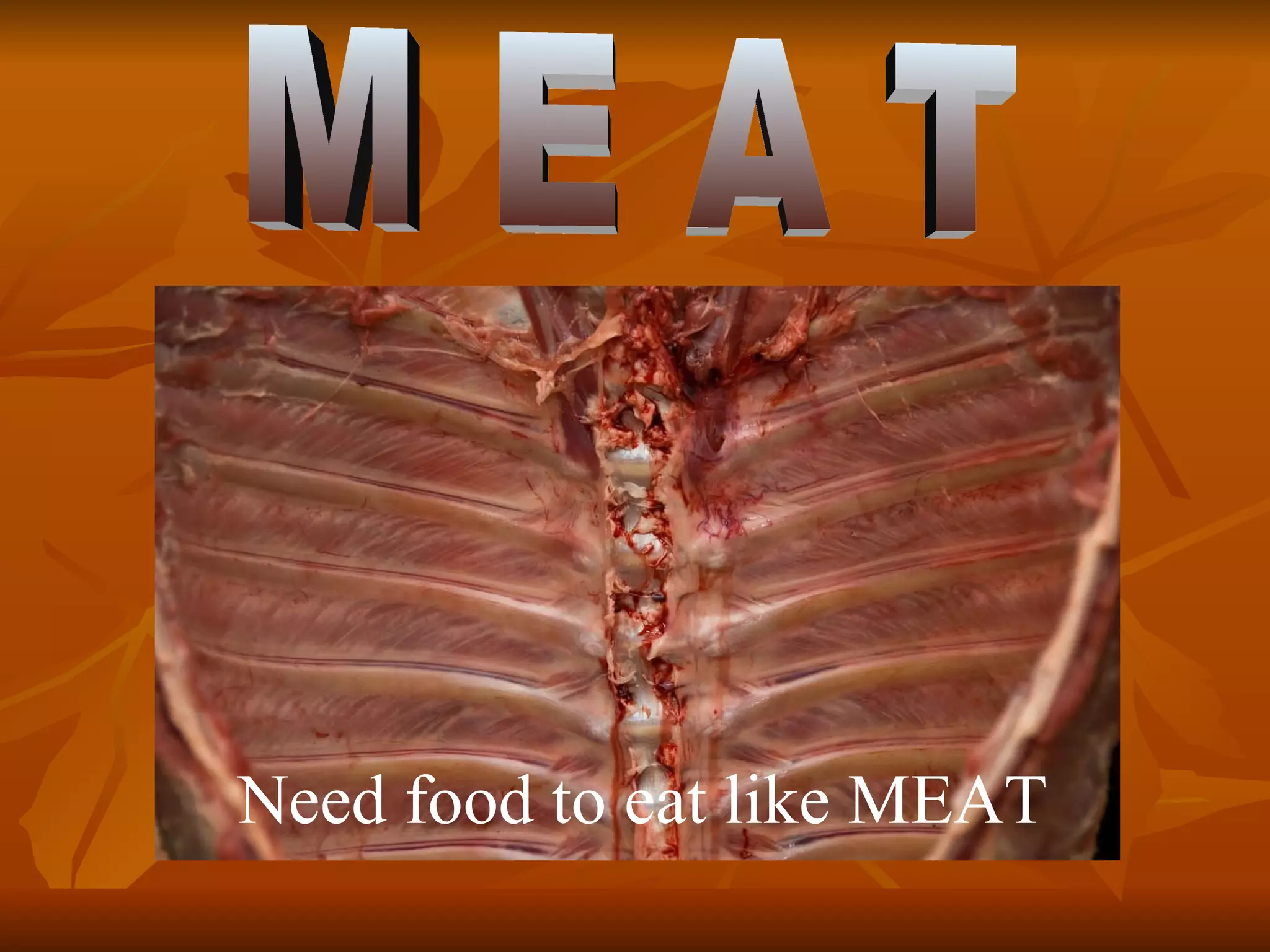 Early Humans Projects | PPT