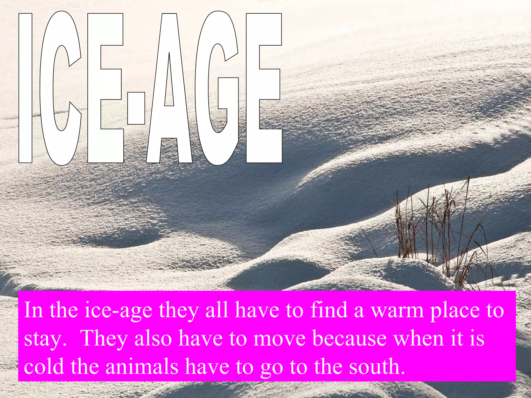 Early Humans Projects | PPT