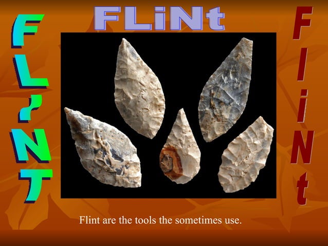 Early Humans Projects | PPT