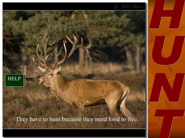 Early Humans Projects | PPT