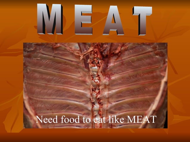 Early Humans Projects | PPT