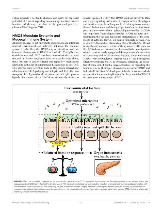 Early life nutritional_factors_on_mucosal_immunity | PDF
