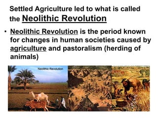 First Man to First Civilizations | PPTX