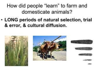 First Man to First Civilizations | PPTX