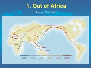 Early migrations bantu, indo europeans, austronesians | PPT