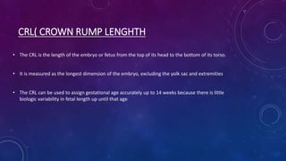 Early OG USG Protocol (1).pptx