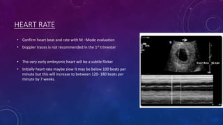 Early OG USG Protocol (1).pptx
