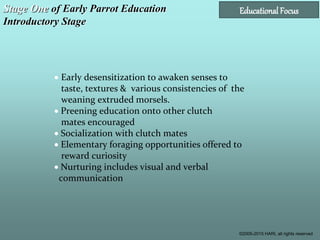 Early Parrot Education - Stage 1 - Introductory | PPTX