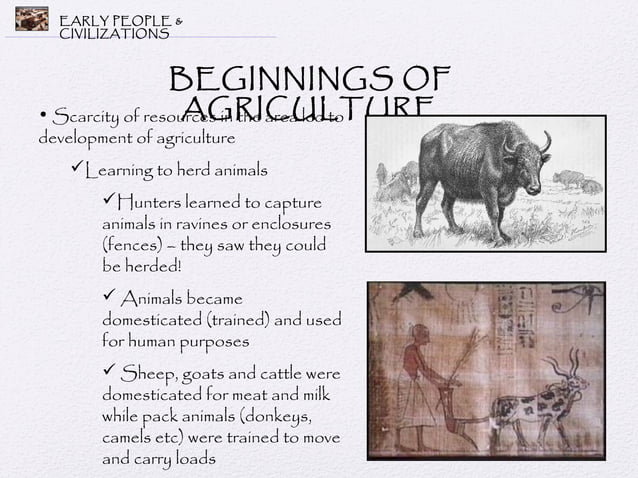 Early people and civilizations 2013 | PPT