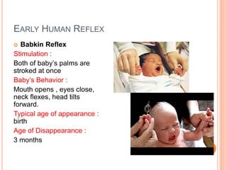 Human Development :Early physical development | PPTX