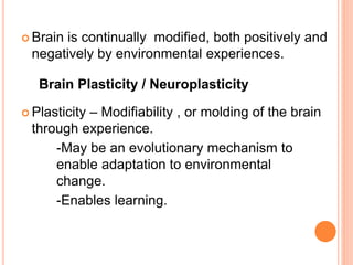 Human Development :Early physical development | PPTX