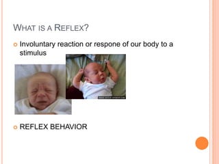 Human Development :Early physical development | PPTX