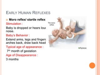 Human Development :Early physical development | PPTX