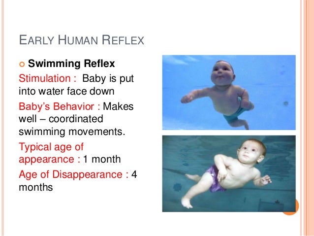 Human Development :Early physical development