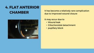 Early post operative complications of cataract surgery_20230914_004137 ...