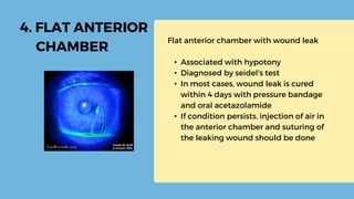 Early post operative complications of cataract surgery_20230914_004137 ...