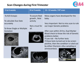Early pregnancy do'sand don'ts by Dr. Aruna Ashok | A4 Feritility ...