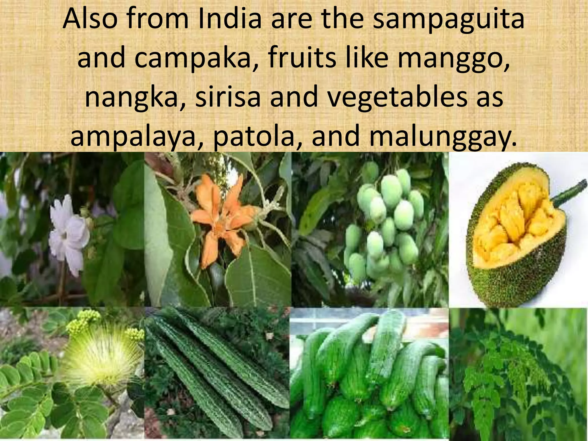 Early relations of Philippines and India | PPTX