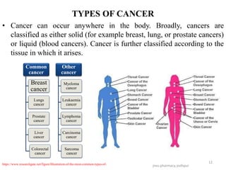 EARLY SCREENING CANCER PPT Formate.pptx