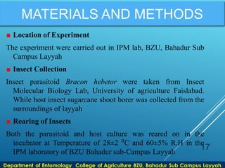 early shoot borer.pptx