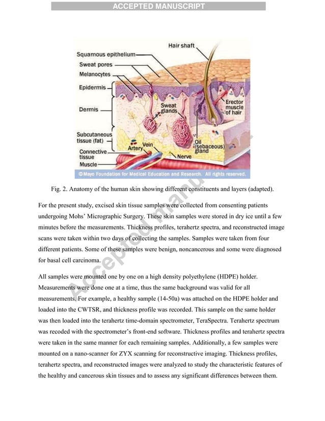 Early stage detection of skin cancer via terahertz spectral profiling ...